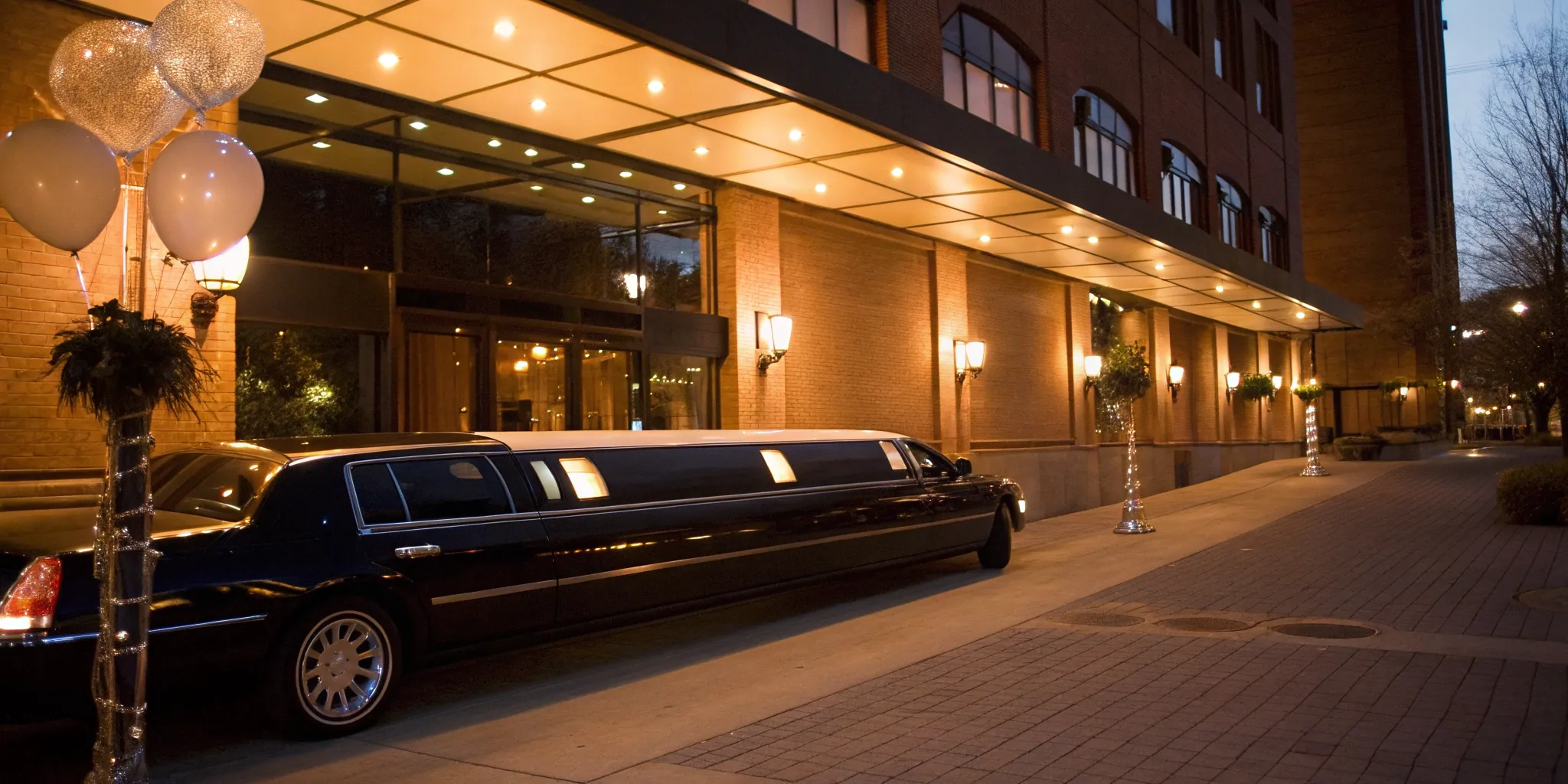 How to Plan the Perfect Birthday Party Limo | Avi Limo